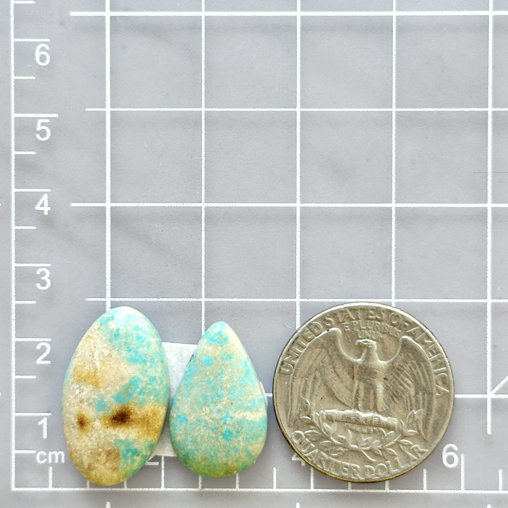 Large Sky Blue Mixed Royston Turquoise, Set of 2 - Turquoise Moose