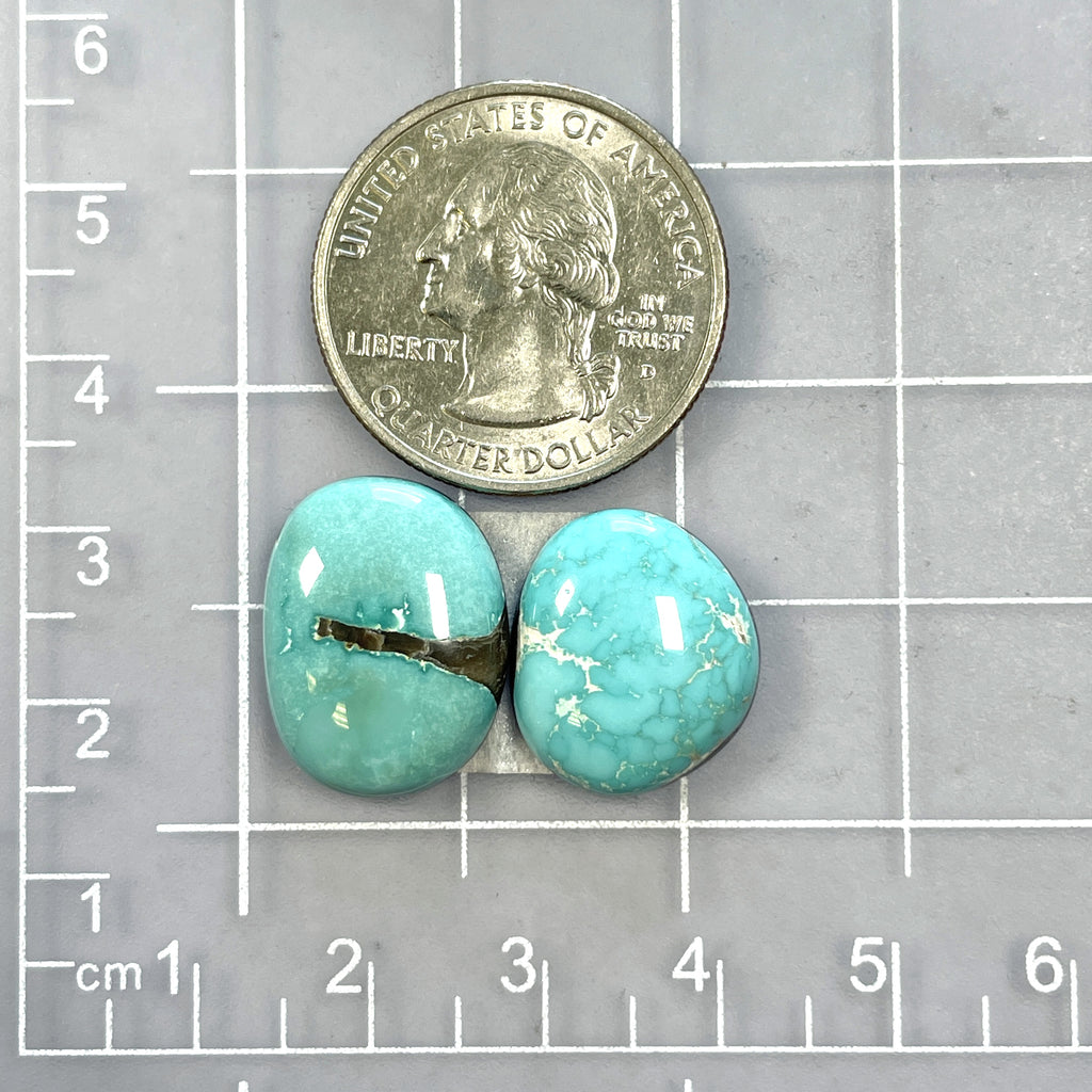 Medium Sky Blue Freeform Carico Lake Turquoise, Set of 2 - Turquoise Moose