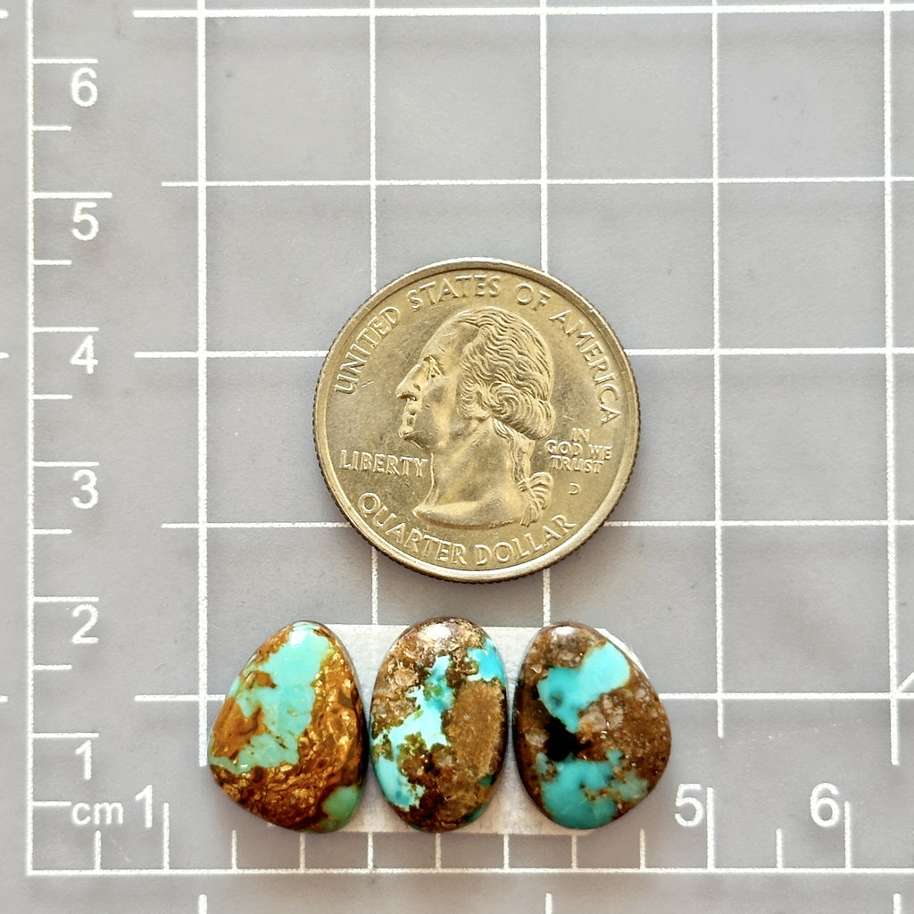 Small Sky Blue Mixed Royston Turquoise, Set of 3 - Turquoise Moose