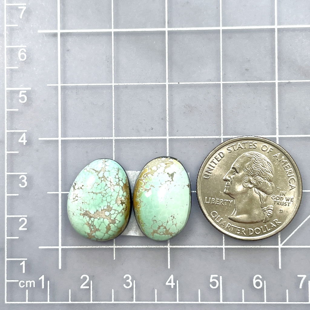 Medium Faint Green Freeform Carico Lake Turquoise, Set of 2 - Turquoise ...