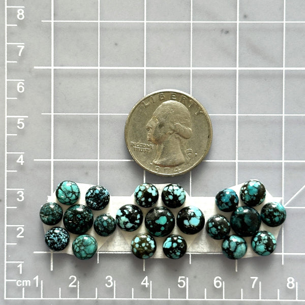 Freeform Natural Turquoise - Round/Circle Shape – Turquoise Moose