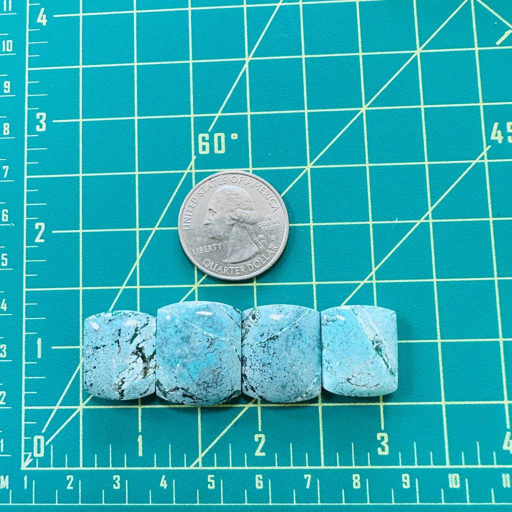 Large Sky Blue Barrel Sand Hill Turquoise, Set of 4 - Turquoise Moose