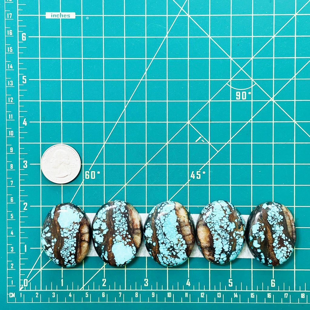 Large Ocean Blue Oval Yungai Turquoise, Set of 5 - Turquoise Moose