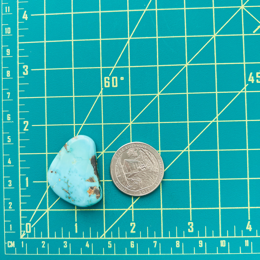 Large Sky Blue Freeform Carico Lake Turquoise - Turquoise Moose