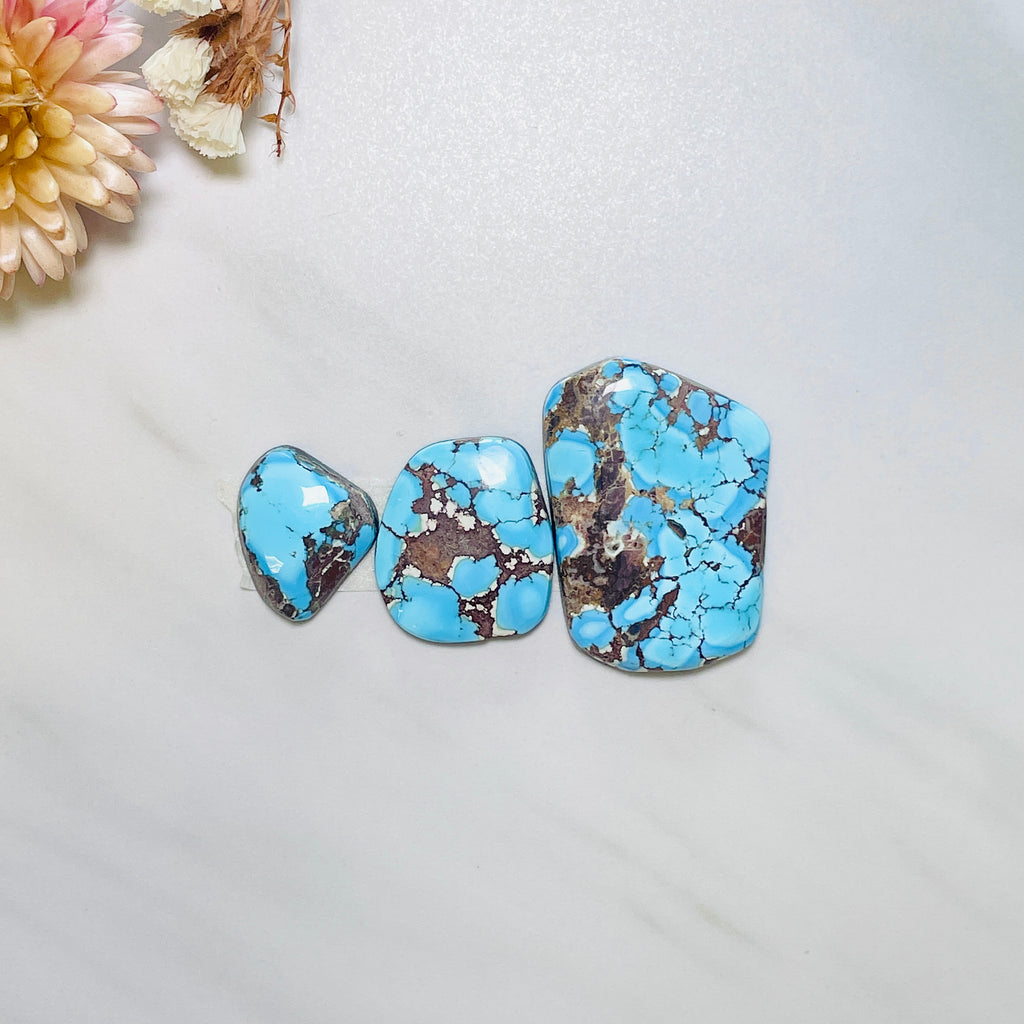 Large Sky Blue Mixed Golden Hill Turquoise, Set of 3 - Turquoise Moose