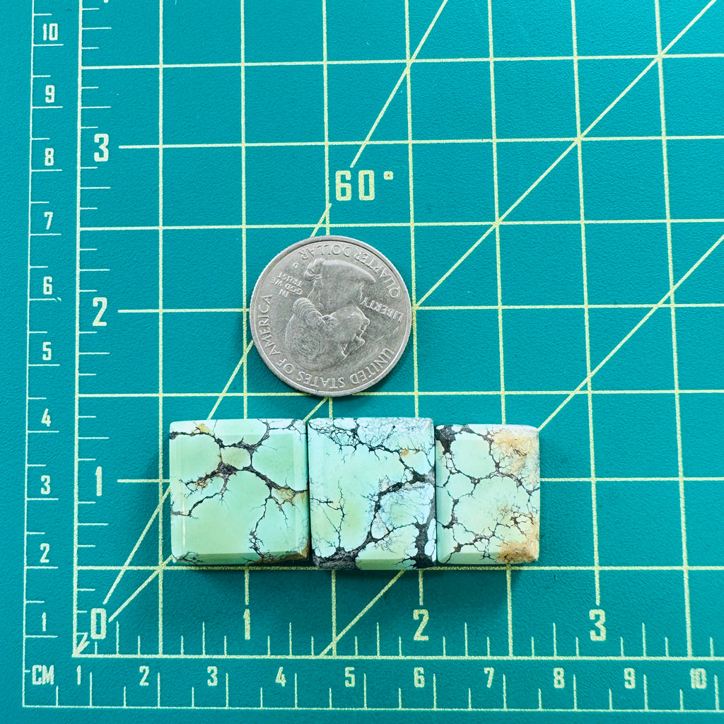 Medium Sea Green Bar Wild Horse Turquoise, Set of 3 - Turquoise Moose